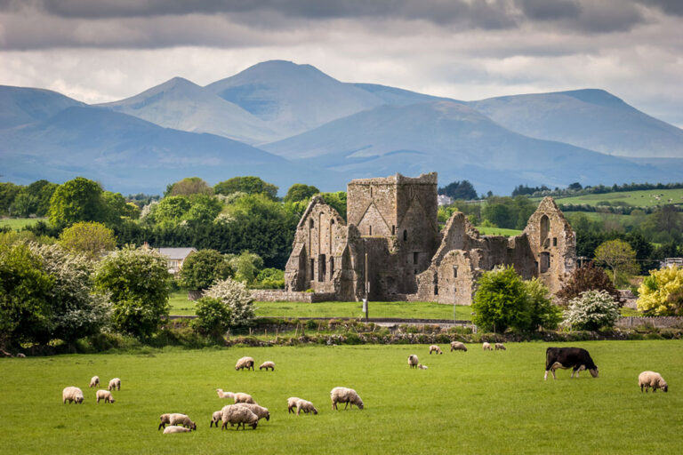 FARMING AND ITS IMPORTANCE IN IRELAND TODAY AND IN YEARS GONE BY